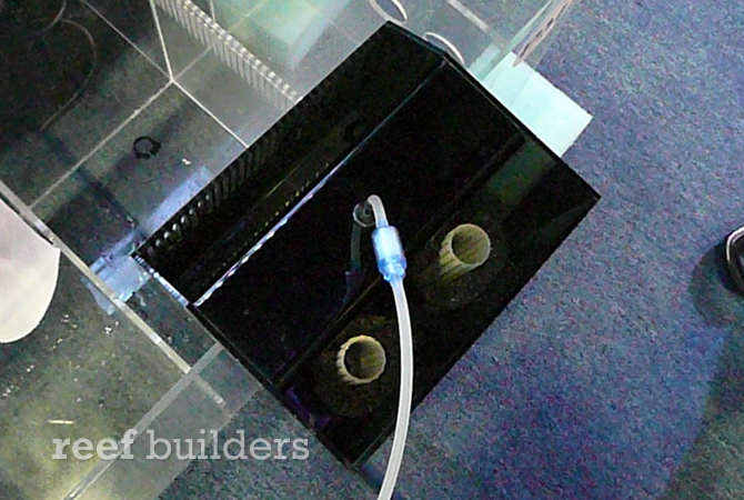 Precision Marine releases single and dual overflows | Reef Builders ...