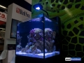 Red Sea Max Nano is the company’s smallest reef tank yet | Reef ...