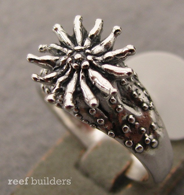 Reef Jewelry of sterling silver and pearl are like miniature sculptures ...