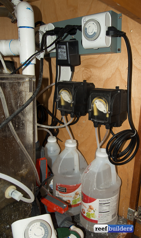 The Tyson Reef tank looks incredible after 15 years | Reef Builders ...