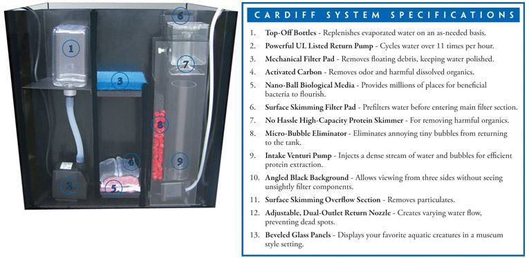 Current’s new Cardiff Aquarium system | Reef Builders | The Reef and ...