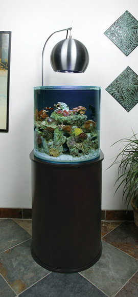 Current’s new Cardiff Aquarium system | Reef Builders | The Reef and ...