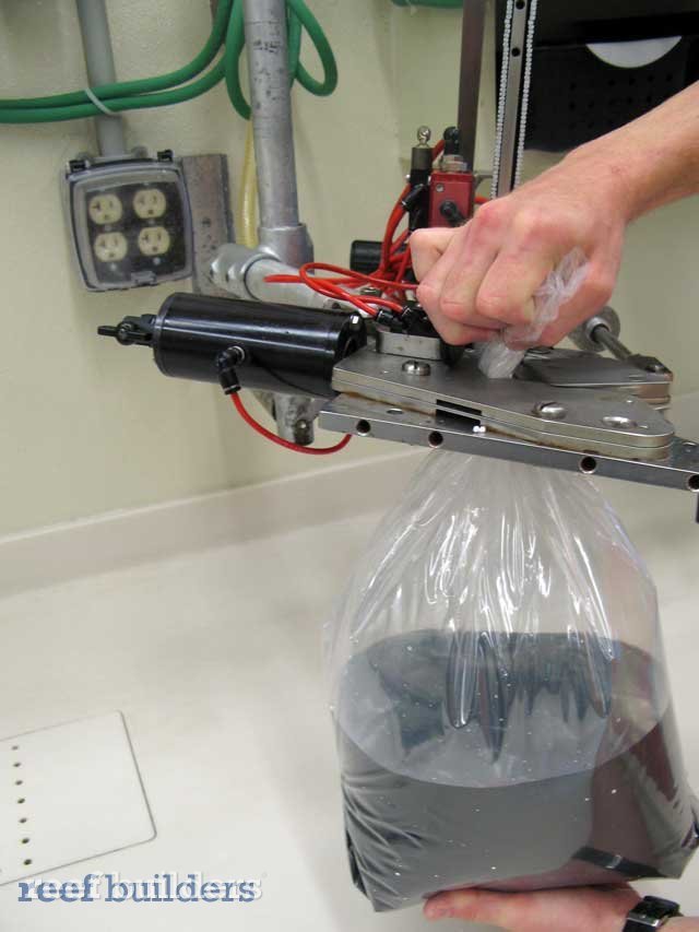 LiveAquaria’s saltwater fish boxing process | Reef Builders | The Reef ...