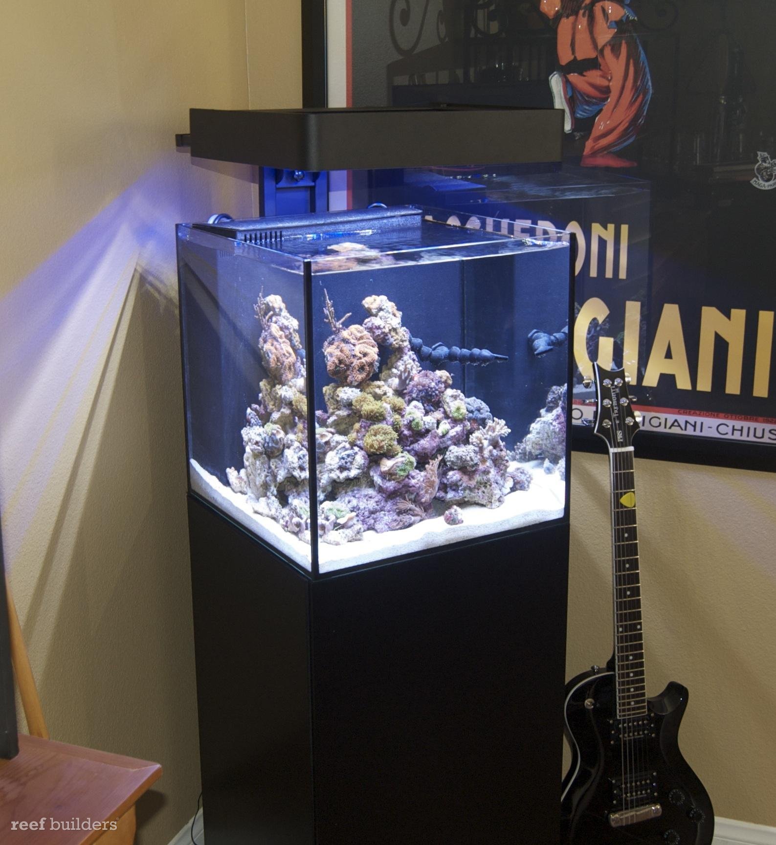Panorama LED Fixtures from Ecoxotic | Reef Builders | The Reef and ...