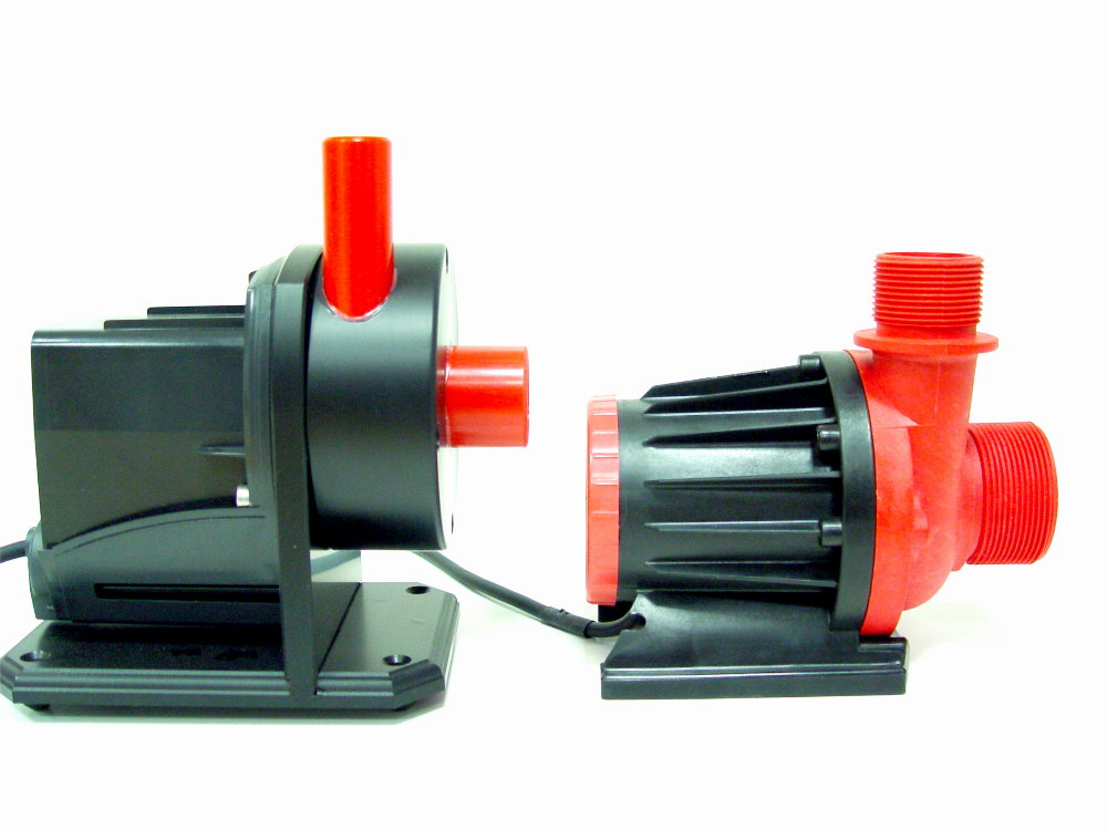 Royal Exclusiv Red Dragon II pumps released | Reef Builders | The Reef ...