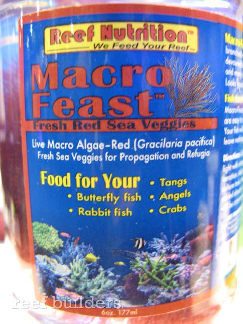 Reef Nutrition’s Macro Feast back in production | Reef Builders | The ...