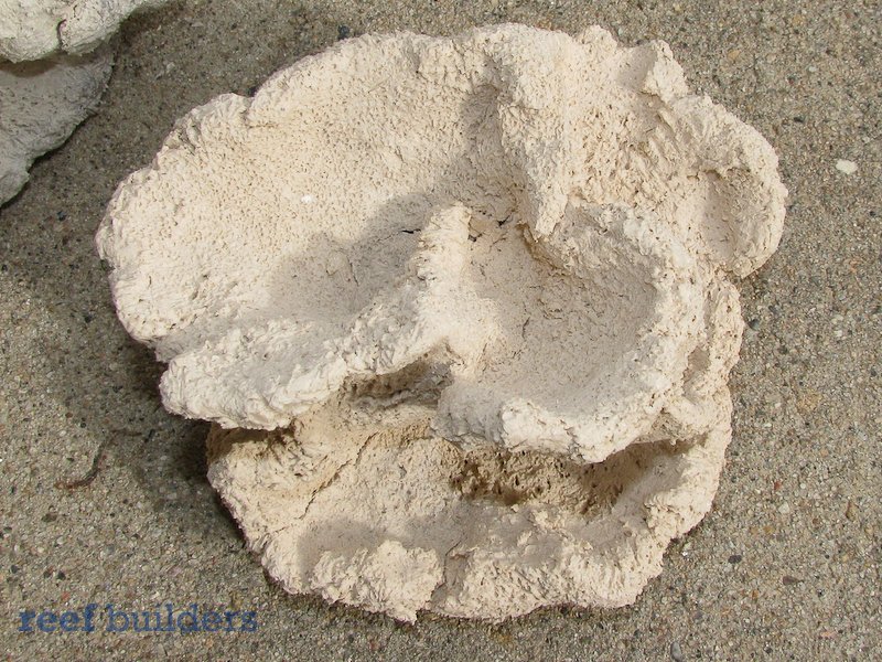 Cerameco introduces Vida Rock, made from porous durable ceramic | Reef ...